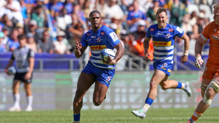 The Stormers | The official website for the DHL Stormers